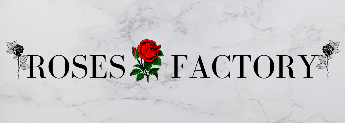 THE ROSES FACTORY (T-shirt, Long Sleeve) – S.F Wear